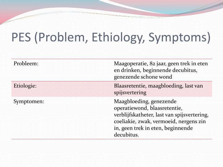 PPT - Casus Meneer van Bruggen PowerPoint Presentation - ID:2326831