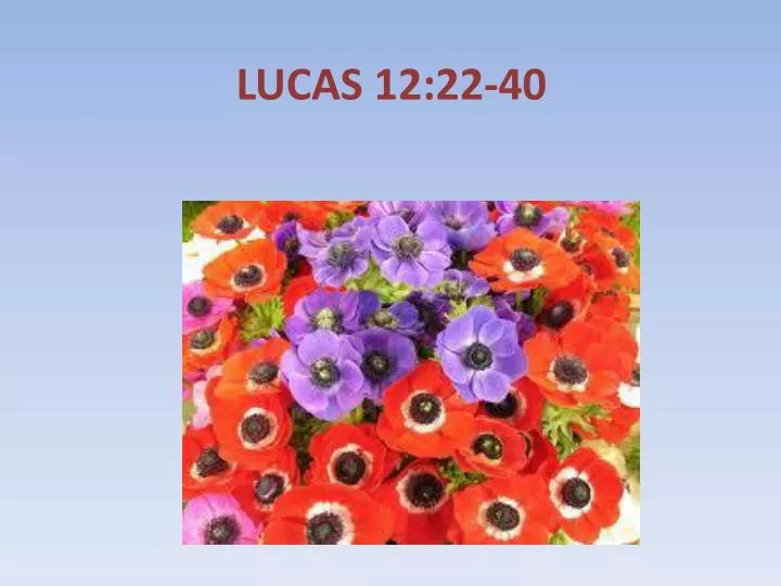 PPT - LUCAS 12:22-40 PowerPoint Presentation, free download - ID:2326874