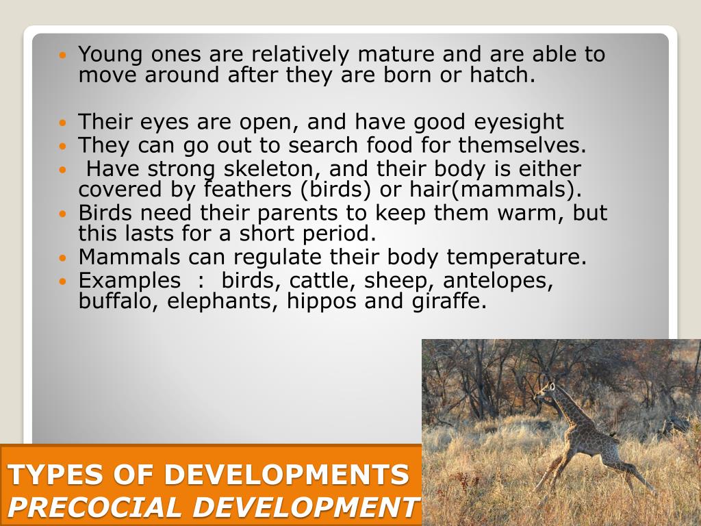 PPT - Sexual reproduction involves the fusion of motile (male) and ...