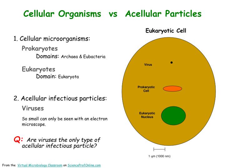 PPT - About Science Prof Online PowerPoint Resources PowerPoint ...