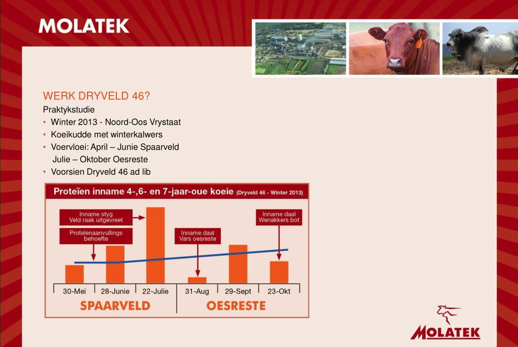 PPT - Joël Herholdt – Nasionale Verkoopsbestuurder PowerPoint ...