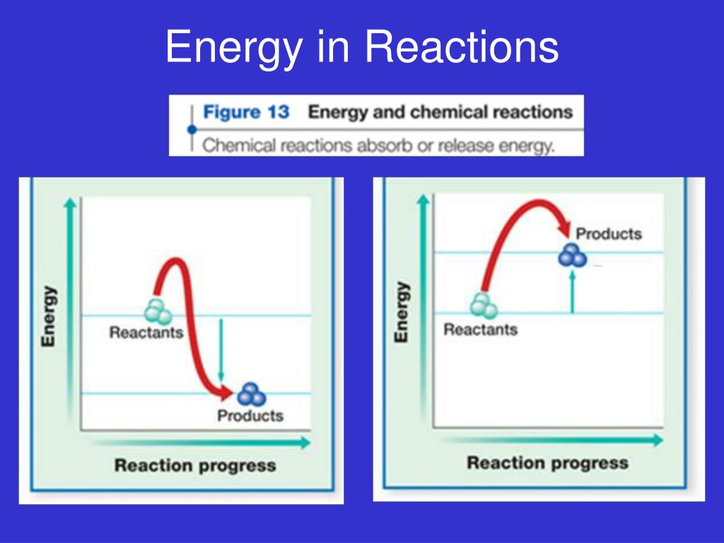 PPT - Energy, Chemical Reactions, and Enzymes PowerPoint Presentation ...