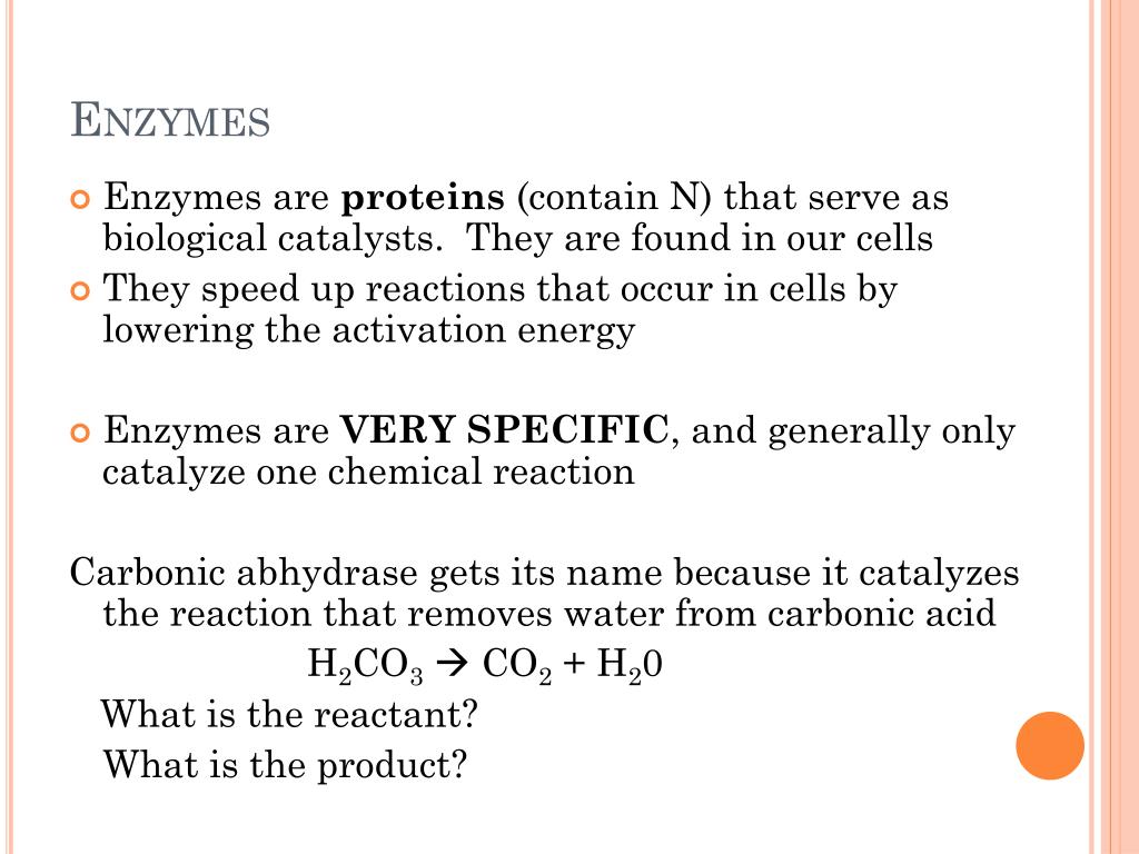 PPT - Enzymes and Chemical Reactions PowerPoint Presentation, free ...