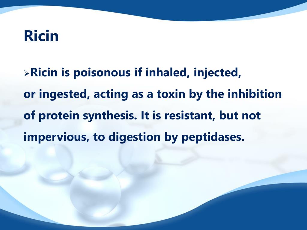 PPT - Castor Oil Plant ( Ricinus communis ) PowerPoint Presentation ...