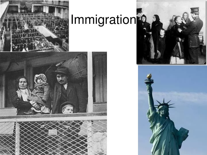 PPT - Immigration PowerPoint Presentation, free download - ID:2329452