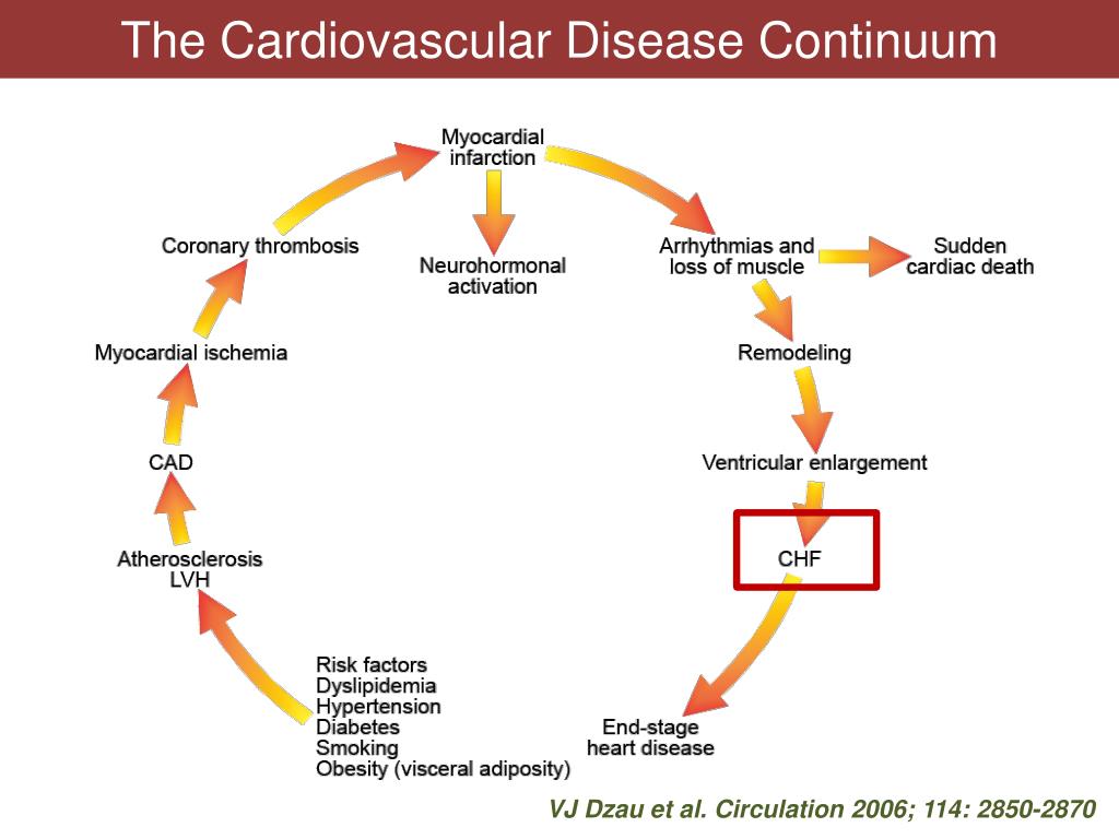 PPT - DPP4-Inhibition and Coronary Artery Disease PowerPoint ...