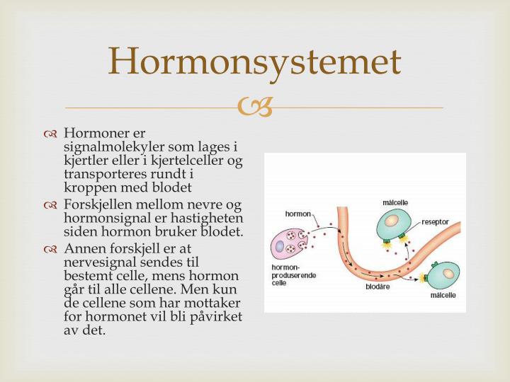 PPT - KROPPEN PowerPoint Presentation - ID:2330100