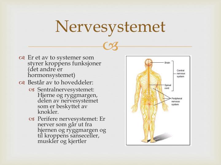 PPT - KROPPEN PowerPoint Presentation - ID:2330100