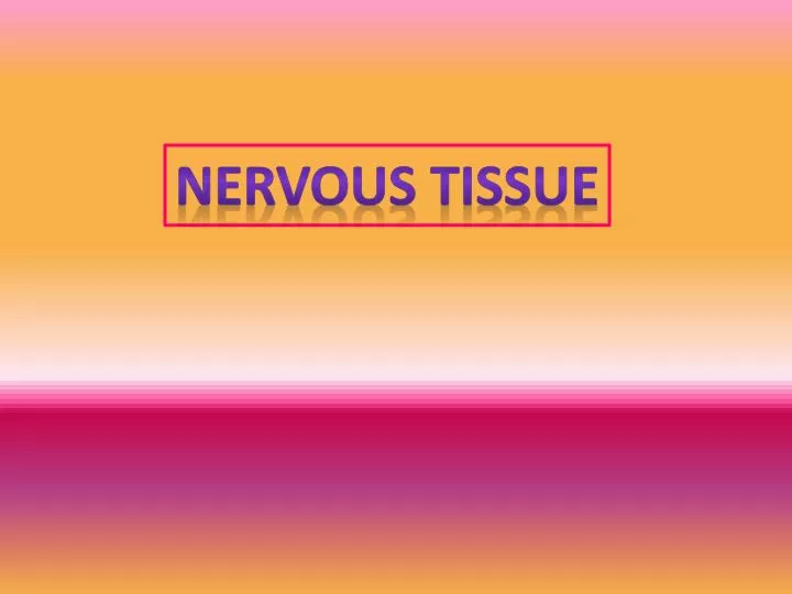 PPT - Nervous tissue PowerPoint Presentation, free download - ID:2330243