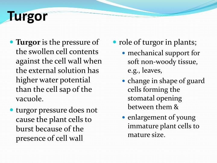 PPT - Movement in and out of cells PowerPoint Presentation - ID:2330284