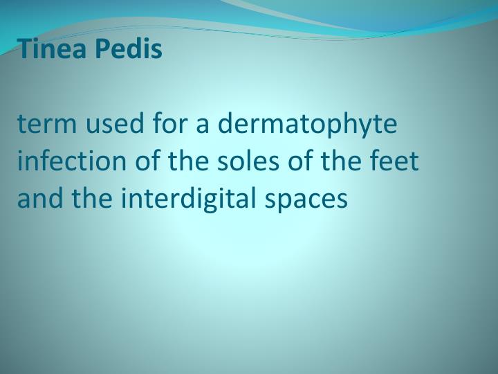 PPT - Fungal Infections PowerPoint Presentation - ID:2330365