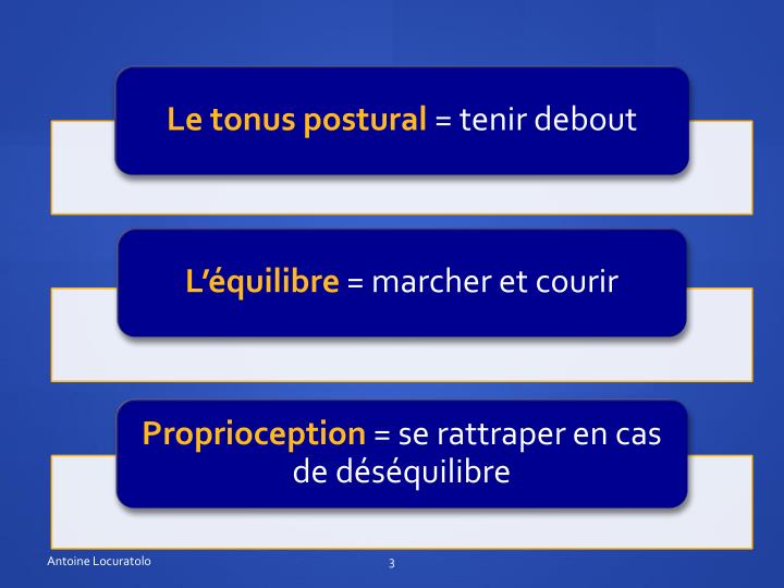 PPT - Tonus postural, Proprioception & Equilibre PowerPoint ...