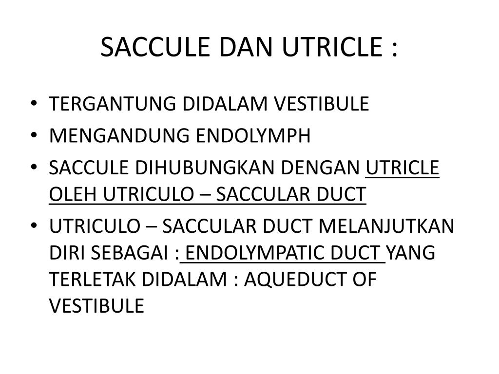 PPT - TELINGA disusun oleh: Dr. HR. Koentjoro S oeleman PowerPoint ...