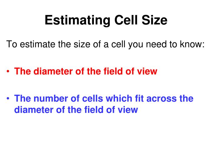PPT - The Light Microscope PowerPoint Presentation - ID:2332804