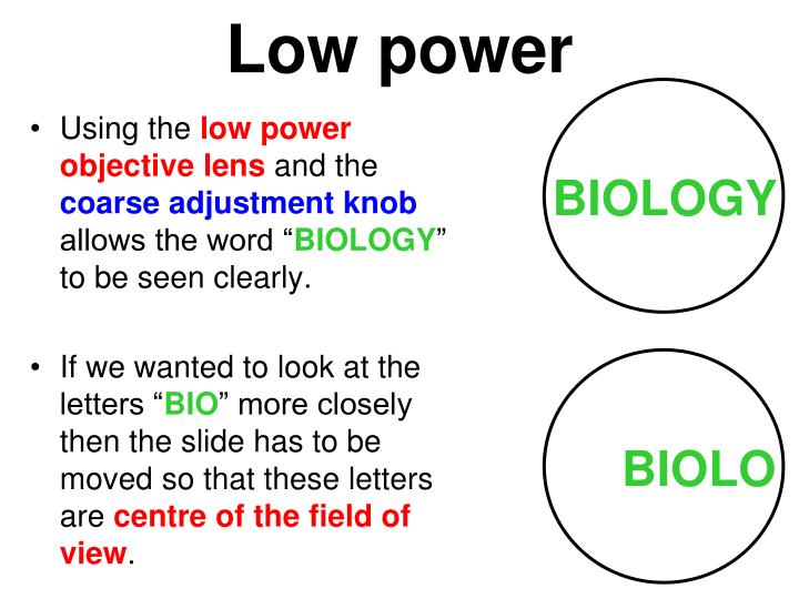 PPT - The Light Microscope PowerPoint Presentation - ID:2332804