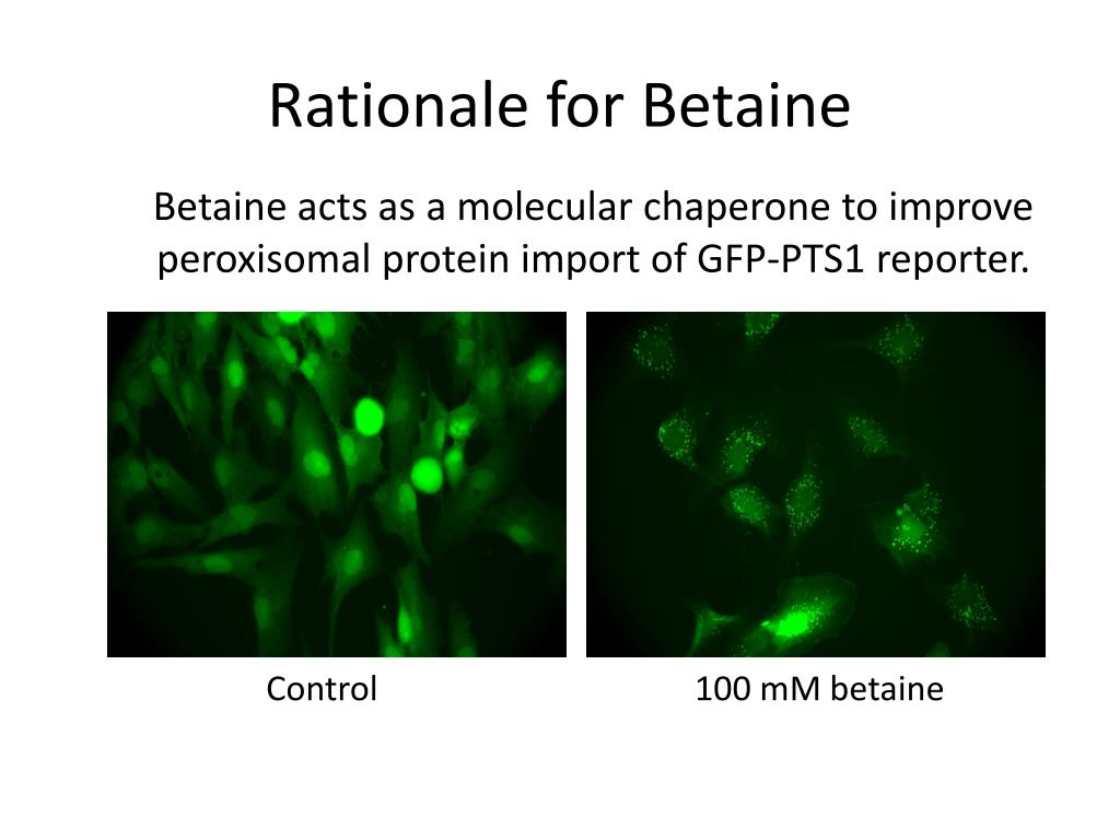 PPT - A Clinical Trial of Betaine for Peroxisomal Biogenesis Disorders ...