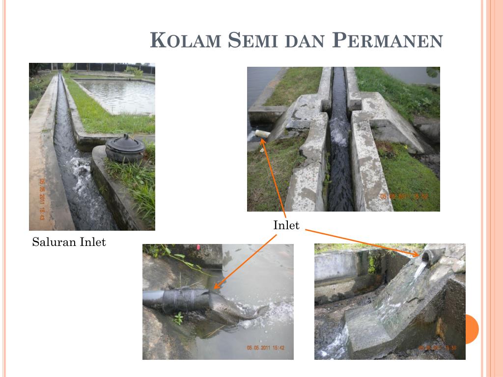PPT - Desain dan Konstruksi Wadah Budidaya Ikan PowerPoint Presentation ...