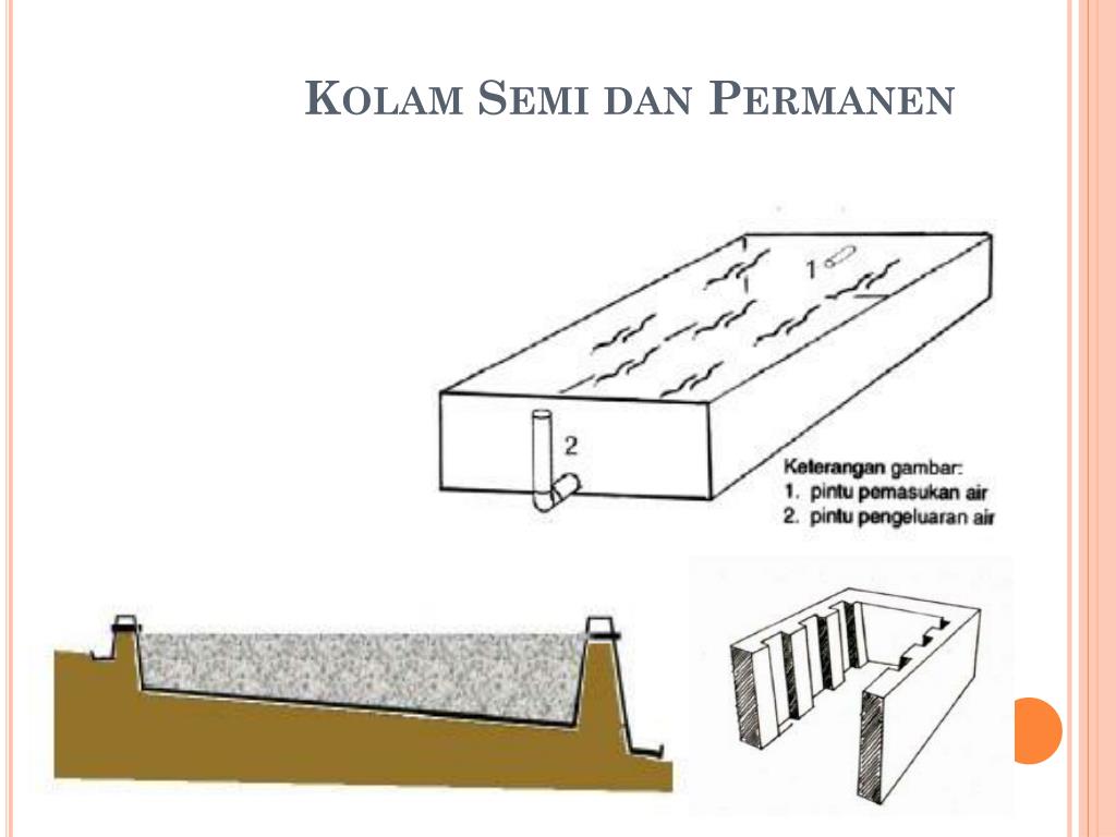 PPT - Desain dan Konstruksi Wadah Budidaya Ikan PowerPoint Presentation ...