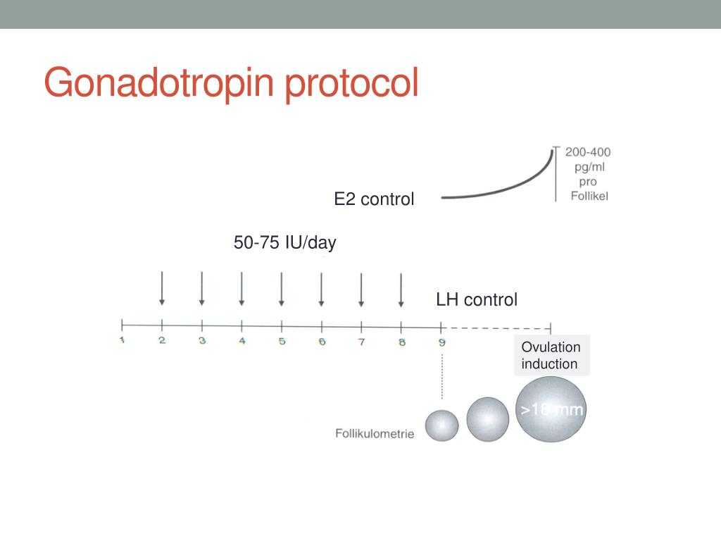 PPT - IUI indications, Ovarian stimulation protocols CC, aromatase ...