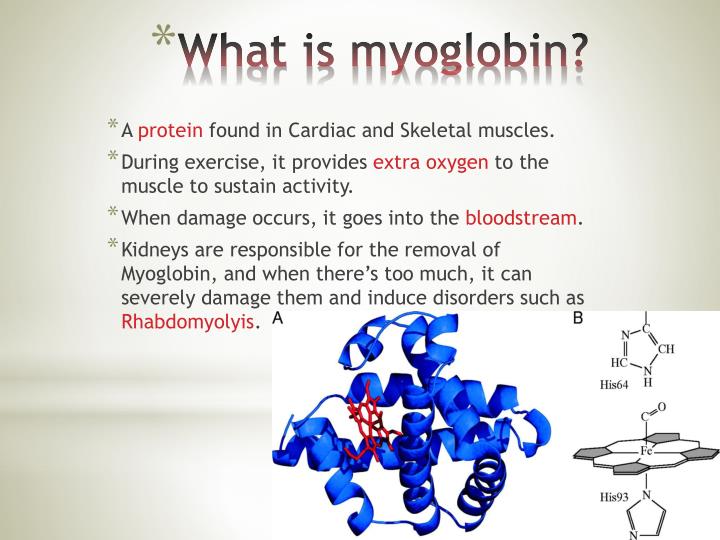 PPT - Rhabdomyolysis PowerPoint Presentation - ID:2334218