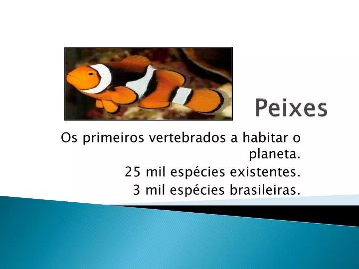 PPT - Peixes PowerPoint Presentation, free download - ID:2334469