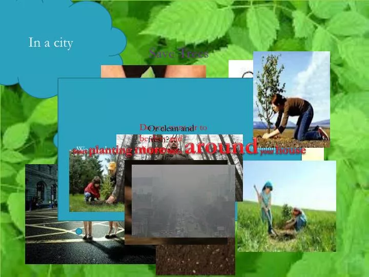 PPT - Save Trees PowerPoint Presentation, free download - ID:2334825