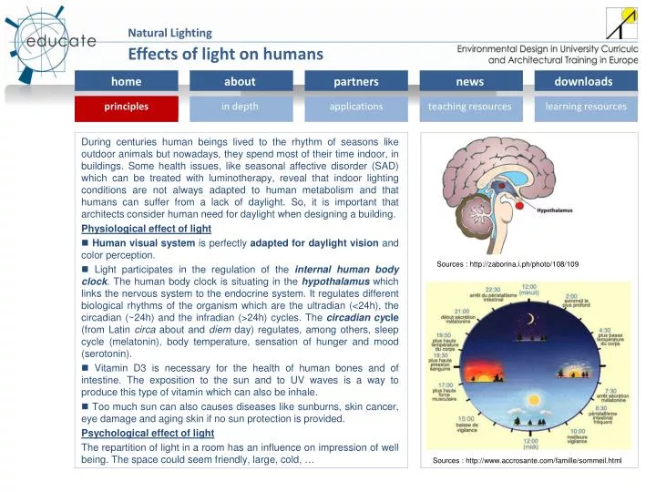 PPT - Effects of light on humans PowerPoint Presentation, free download ...