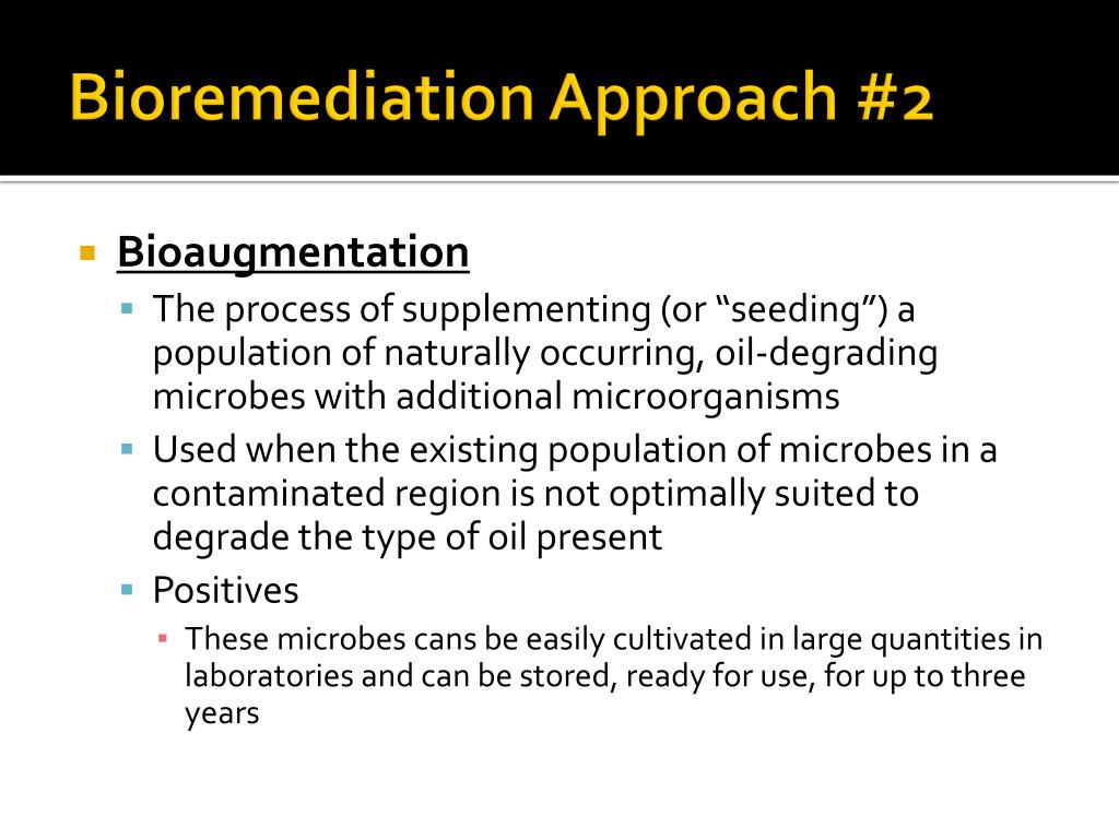 PPT - Oil Spill Bioremediation Kit PowerPoint Presentation, free ...