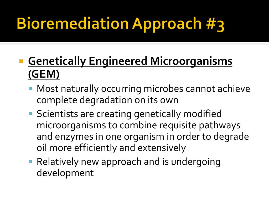 PPT - Oil Spill Bioremediation Kit PowerPoint Presentation, free ...