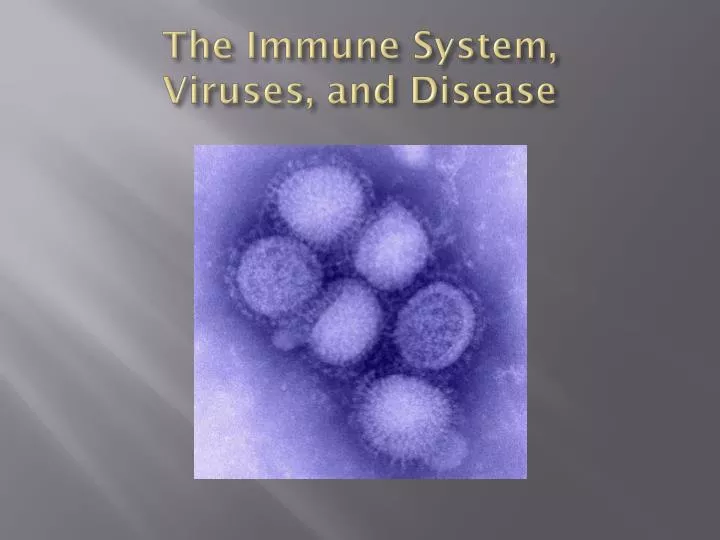 PPT - The Immune System, Viruses, and Disease PowerPoint Presentation ...