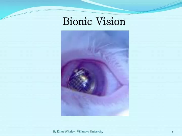PPT - Bionic Vision PowerPoint Presentation, free download - ID:2335839