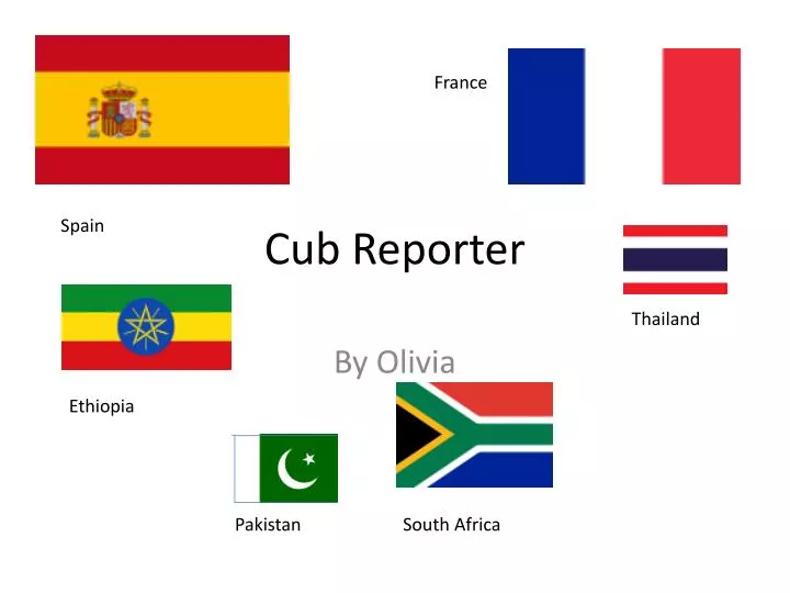 PPT - Cub Reporter PowerPoint Presentation, free download - ID:2336567