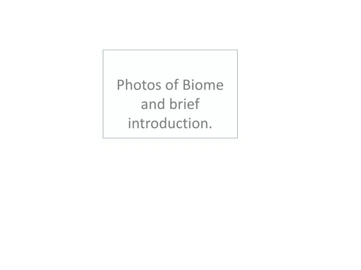 PPT - Photos of Biome and brief introduction . PowerPoint Presentation ...