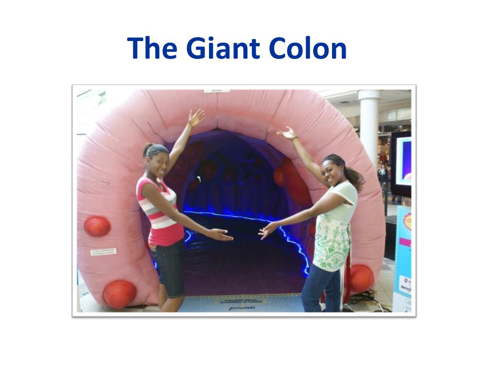 PPT - Colorectal Cancer Association of Canada PowerPoint Presentation ...