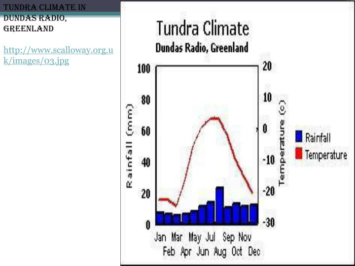 What Is The Average Rainfall For A Tundra Climate Sciencing
