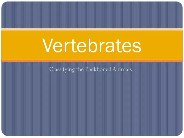 PPT - Vertebrates PowerPoint Presentation, free download - ID:2337088