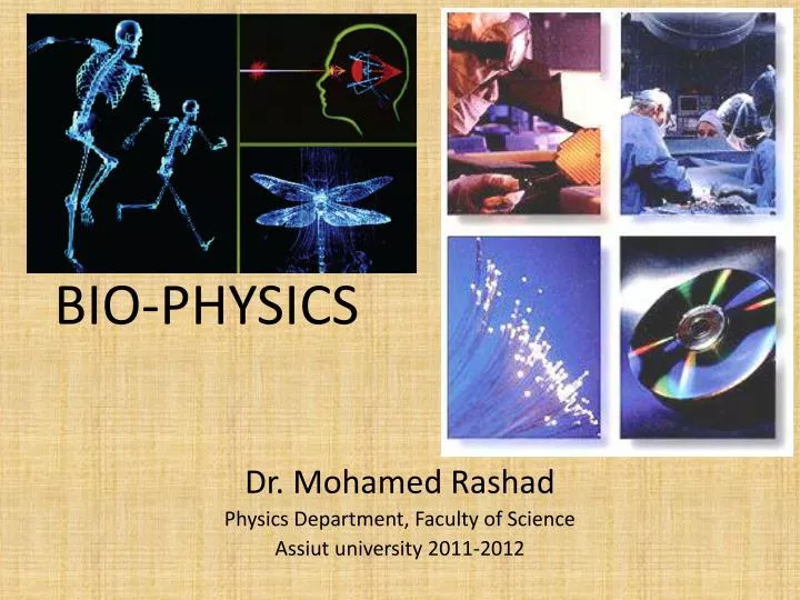 PPT - BIO-PHYSICS PowerPoint Presentation, free download - ID:2337127