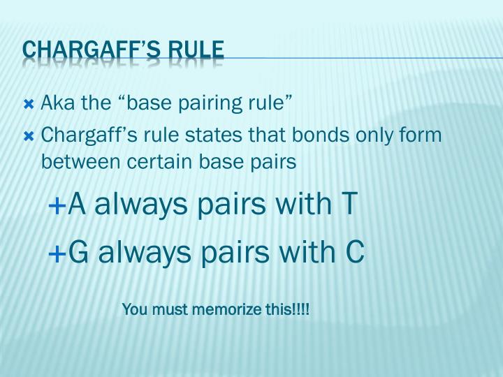 PPT - Molecular Genetics PowerPoint Presentation - ID:2337527
