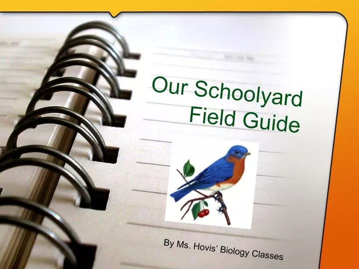 PPT - Our Schoolyard Field Guide PowerPoint Presentation, free download ...