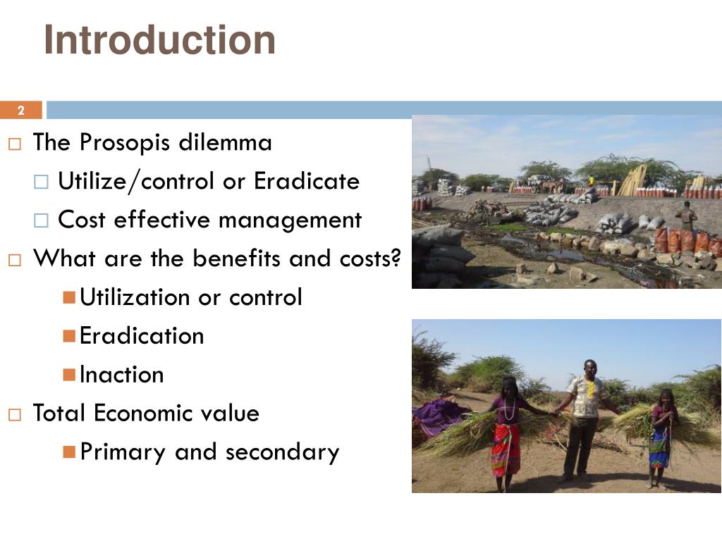 PPT - John Ilukor , Regina Birner, Mesfin Tilahun & Shimelis G etu ...