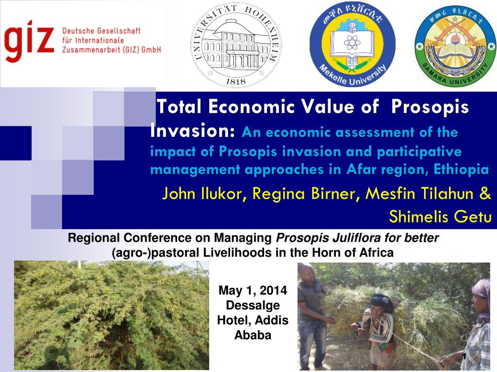 PPT - John Ilukor , Regina Birner, Mesfin Tilahun & Shimelis G etu ...