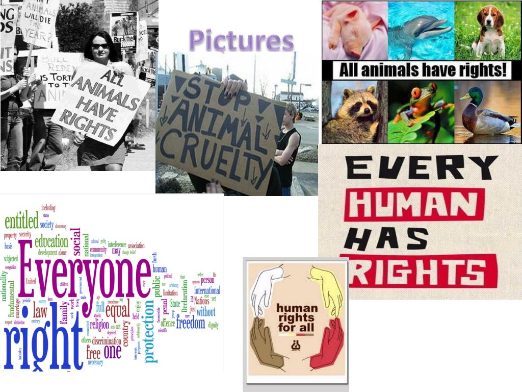 PPT - Animal Rights vs. Human Rights PowerPoint Presentation, free ...