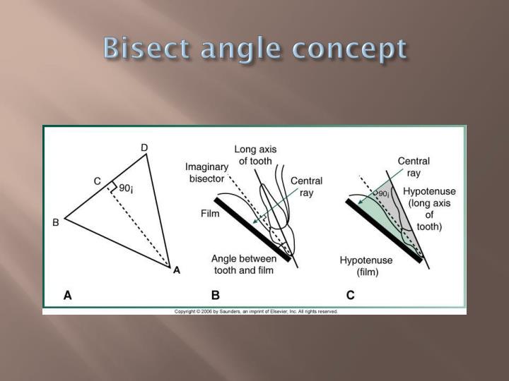 PPT - The Bisecting Technique PowerPoint Presentation - ID:2337946