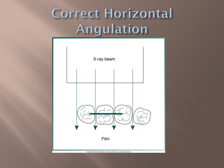 PPT - The Bisecting Technique PowerPoint Presentation - ID:2337946