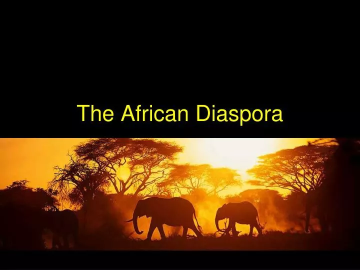 PPT - The African Diaspora PowerPoint Presentation, free download - ID ...