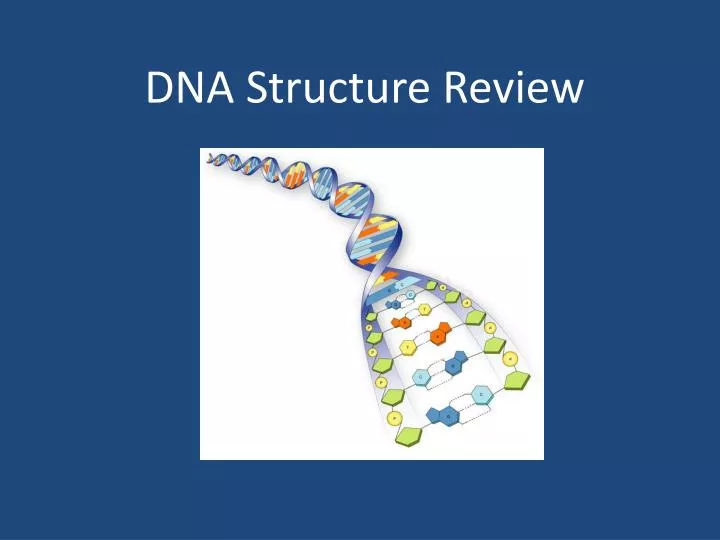 PPT - DNA Structure Review PowerPoint Presentation, free download - ID ...