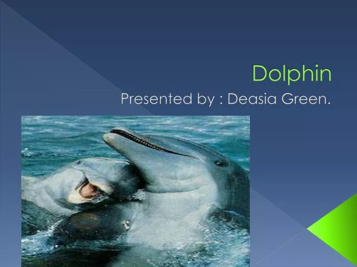 PPT - Dolphin PowerPoint Presentation, free download - ID:2338733