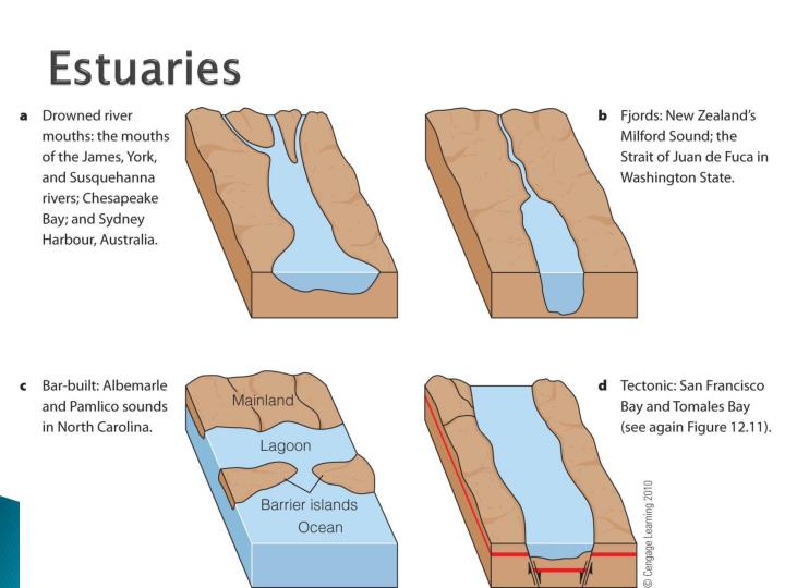PPT - Chapter 12 PowerPoint Presentation - ID:2338745