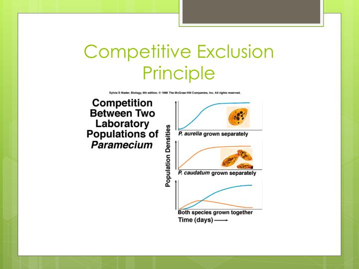 PPT - The Principles of Ecology PowerPoint Presentation - ID:2338825