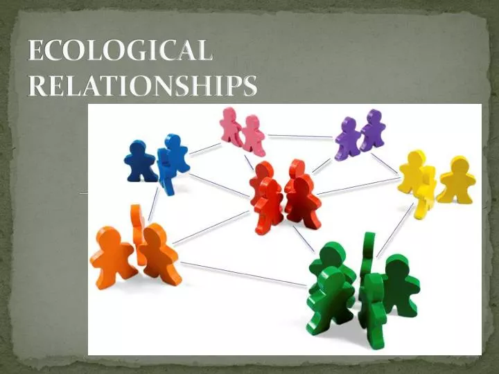 PPT - ECOLOGICAL RELATIONSHIPS PowerPoint Presentation, free download ...